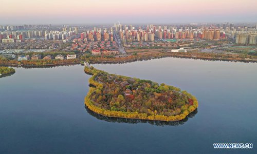 Early winter scenery of Nanhu scenic spot in N China's Hebei - Global Times