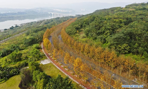 Early winter scenery of Guangyang Isle in SW China's Chongqing - Global ...