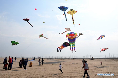 Kite flying activity launched in Kuwait - Global Times