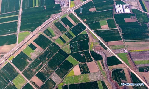 China expands high-standard farmland to ensure grain security - Global ...