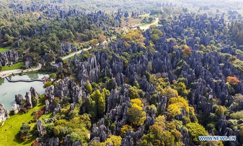 Scenery of Shilin scenic zone in SW China's Yunnan - Global Times
