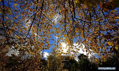 Autumn scenery at Sawfar town in Mount Lebanon governorate, Lebanon ...