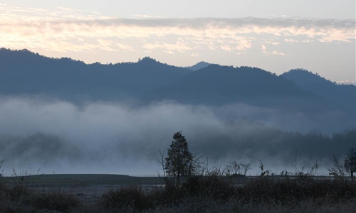 Winter scenery of Qishu lake in China's Anhui - Global Times