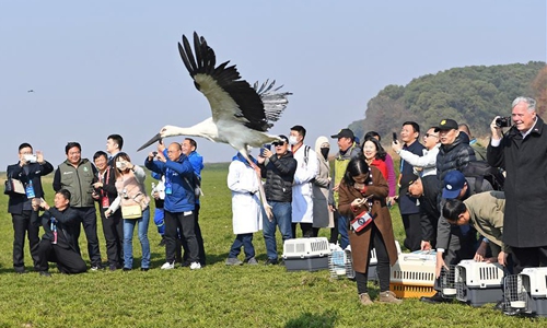 120 cured migrant birds released into wild in Jiangxi - Global Times
