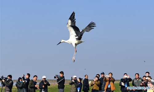 120 cured migrant birds released into wild in Jiangxi - Global Times