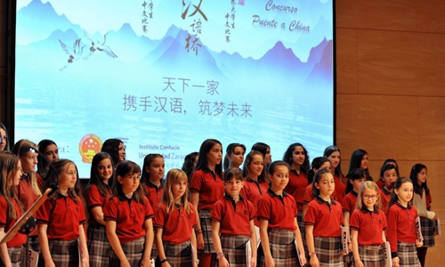 China supports int'l Chinese language education programs: vice premier ...