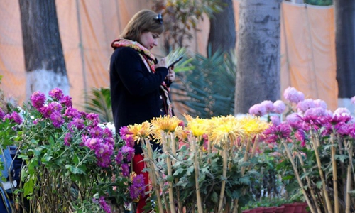 People visit chrysanthemum flower show in Pakistan's Peshawar - Global ...
