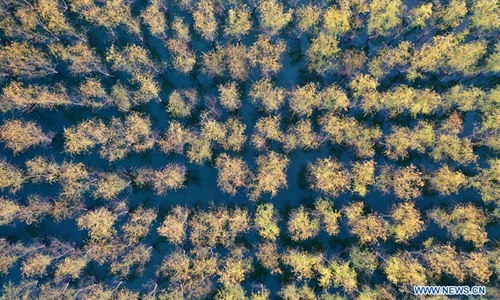 Scenery of Danjiangkou Reservoir region in Nanyang, central China's ...