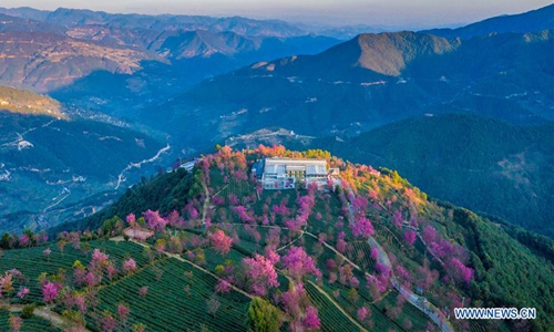 Scenery of cherry valley on Wuliang Mountain in SW China's Yunnan ...