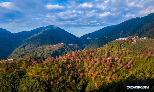 Scenery of cherry valley on Wuliang Mountain in SW China's Yunnan ...