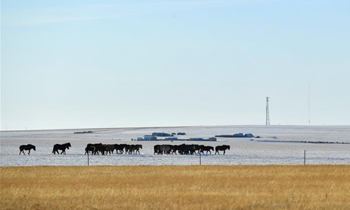 Winter scenery of Hulun Buir Grasslands in Inner Mongolia - Global Times
