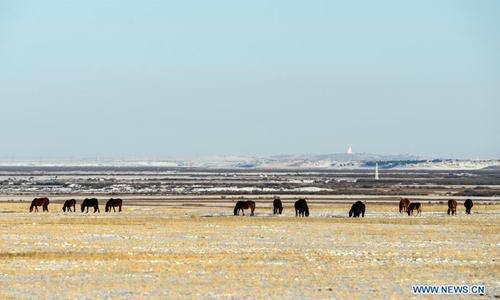 Winter scenery of Hulun Buir Grasslands in Inner Mongolia - Global Times
