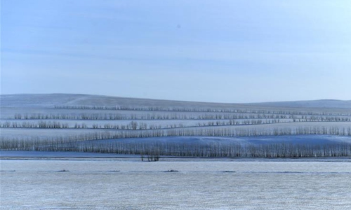 Winter scenery of Hulun Buir Grasslands in Inner Mongolia - Global Times