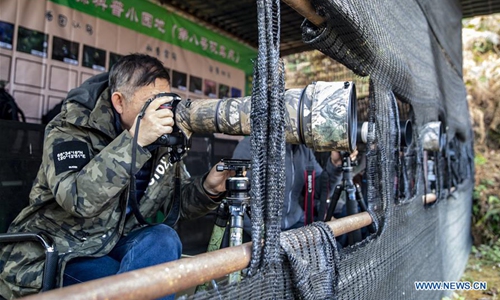 Bird watching economy booms in Sanhe village of southwest China's ...