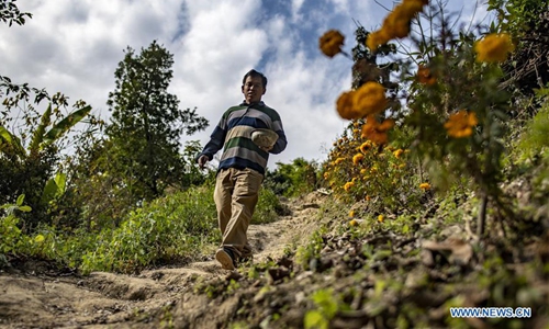 Bird watching economy booms in Sanhe village of southwest China's ...