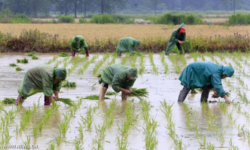 China holds key meeting to map out plans for 2020 rural work - Global Times