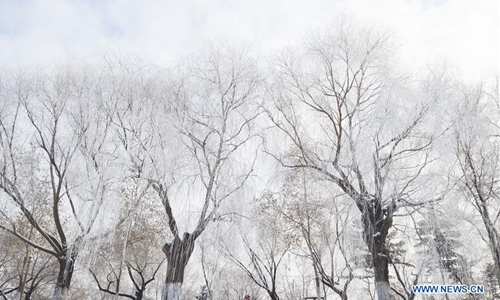 Snow scenery of Harbin City, China's Heilongjiang - Global Times