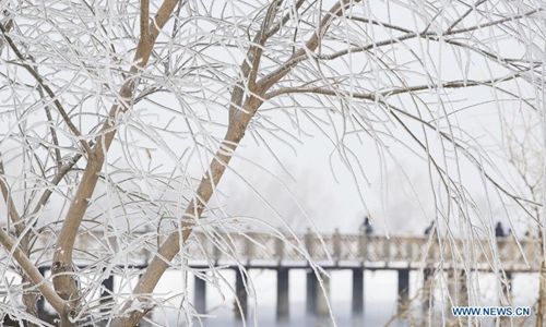 Snow scenery of Harbin City, China's Heilongjiang - Global Times