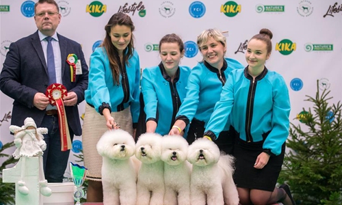 Int'l dog show held in Vilnius, Lithuania - Global Times