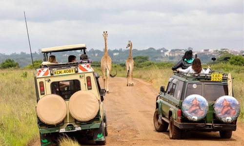 Tourists travel at Nairobi National Park in Nairobi, Kenya - Global Times