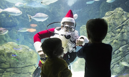 Santa Claus diving show in Toronto's aquarium - Global Times