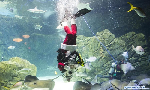 Santa Claus diving show in Toronto's aquarium - Global Times