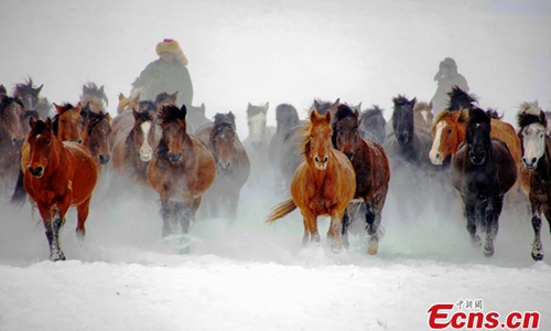 Tens of thousands of horses gallop on snowy grassland in northwest ...