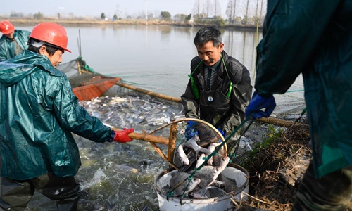 People fish at Shengjiang family farm in Linghu Town of Huzhou City, E ...