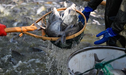 People fish at Shengjiang family farm in Linghu Town of Huzhou City, E ...