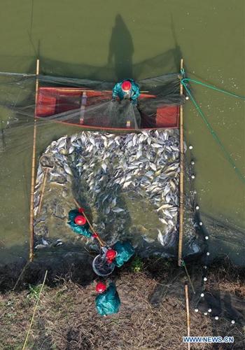 People fish at Shengjiang family farm in Linghu Town of Huzhou City, E ...