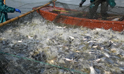 People fish at Shengjiang family farm in Linghu Town of Huzhou City, E ...