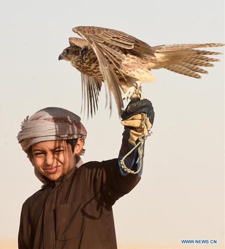 Falcon training show held in Kuwait - Global Times