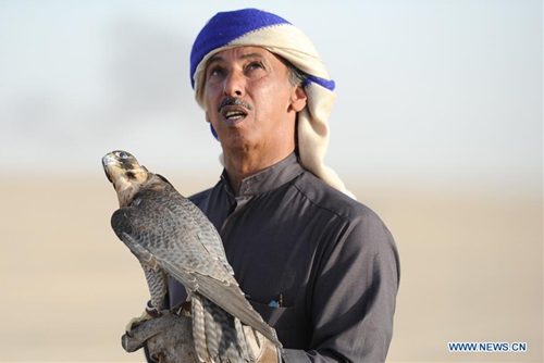 Falcon training show held in Kuwait - Global Times