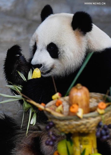 Staff prepares fruits, vegetables for giant pandas in Haikou, S China's ...