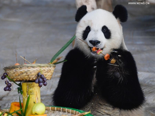 Staff prepares fruits, vegetables for giant pandas in Haikou, S China's ...