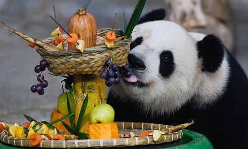 Staff prepares fruits, vegetables for giant pandas in Haikou, S China's ...