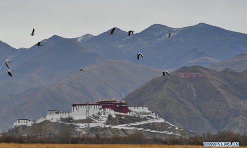 Scenery of Lhalu wetland in Lhasa, SW China's Tibet - Global Times