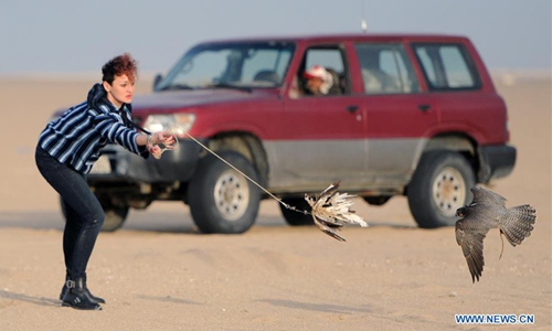 Falcon hunting show held in Kuwait - Global Times