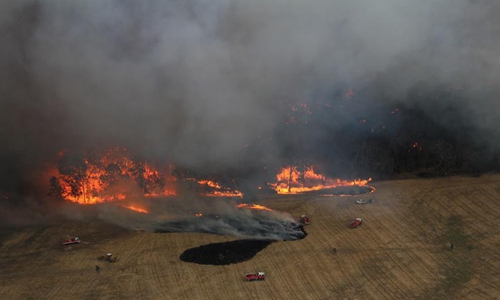 Australian government launches National Bushfire Recovery Agency ...