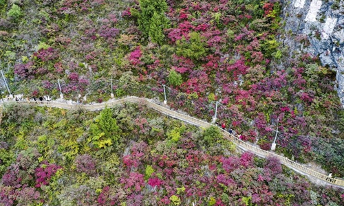 Three Gorges Reservoir area prospers by green development - Global Times