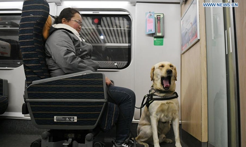 Guide dogs trained to help visually impaired passengers during Spring ...