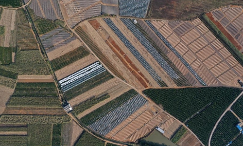 Winter scenery of fields in S China's Guangxi - Global Times