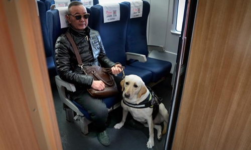 Visually impaired passenger and his guide dog - Global Times