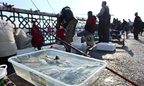 Fishing enthusiasts fish in Istanbul, Turkey - Global Times