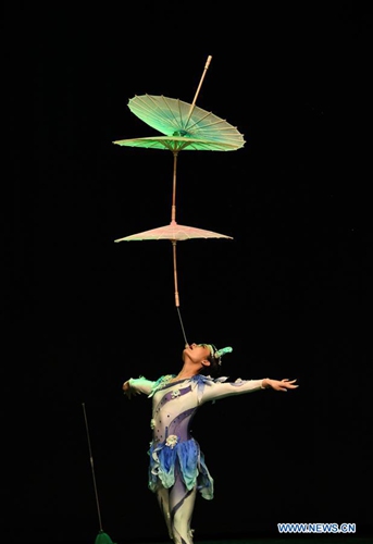 Chinese acrobats, dancers perform in Istanbul, Turkey - Global Times