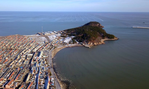 Swans bring vitality to the coastal village in Shandong - Global Times