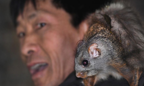 Flying squirrels bring new life to villagers in NW China - Global Times