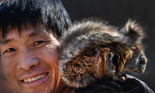 Flying squirrels bring new life to villagers in NW China - Global Times