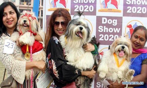 Dogs participate in dog show in Gauhati, India - Global Times