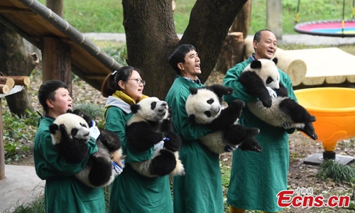 World's oldest captive giant panda celebrates Spring Festival - Global ...